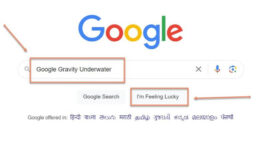 Google Gravity: Exploring The Wonders Of Mr. Doob’s Creation